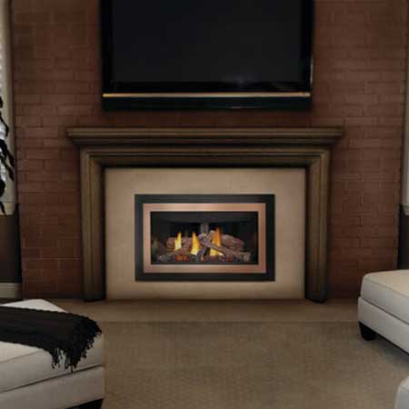 Best Gas Fireplace Inserts of 2025 | Fireplaces Direct Learning Center